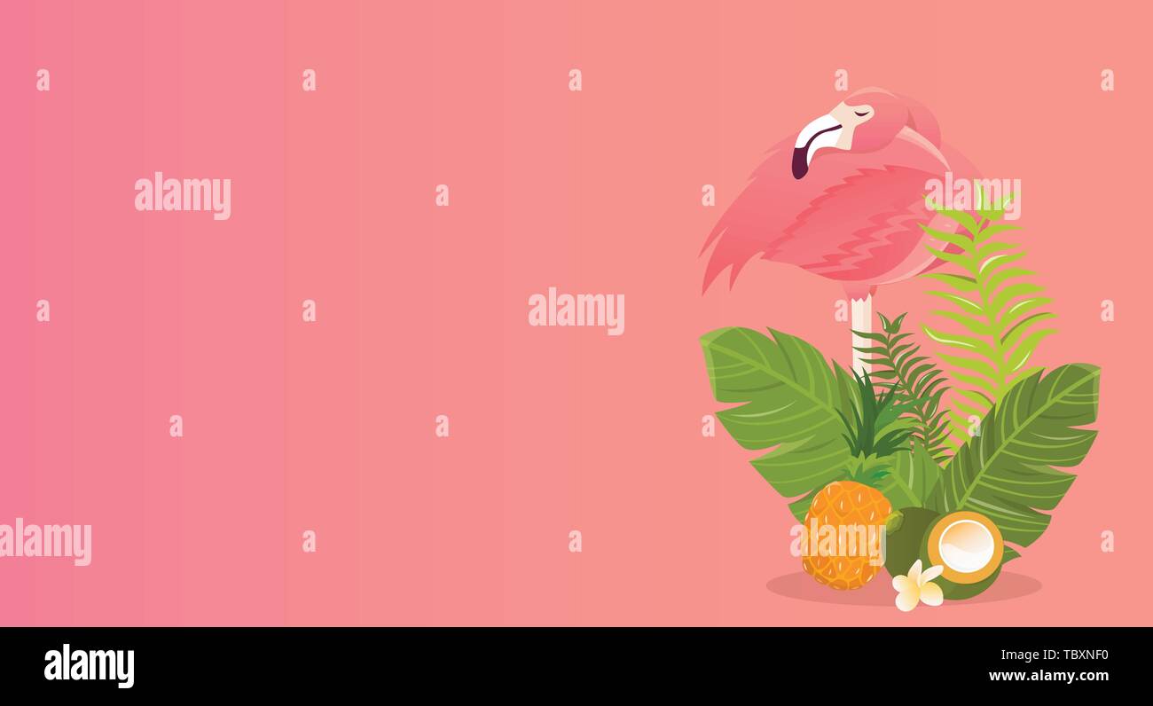 Pineapple leaves white background Stock Vector Images - Alamy