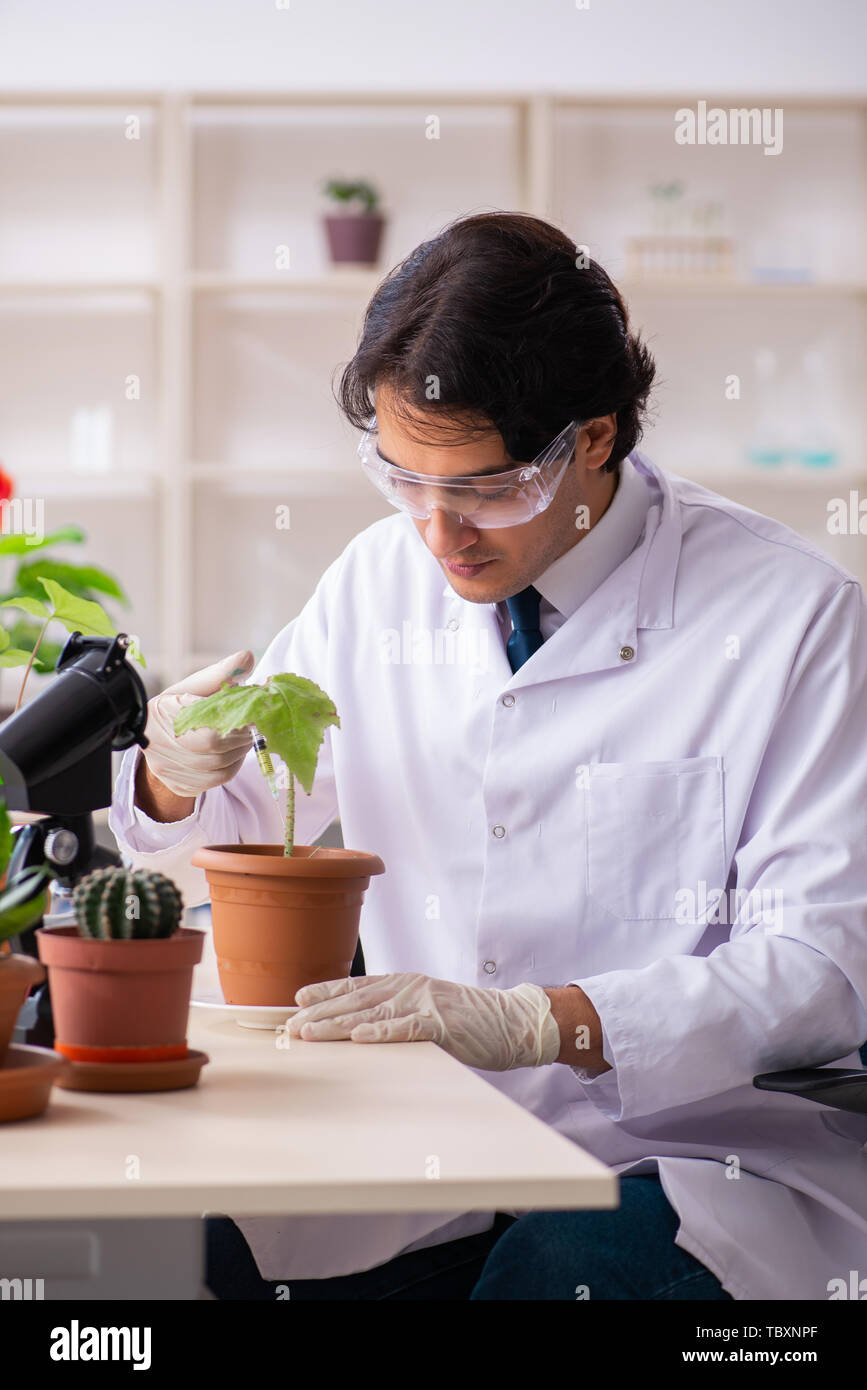 Biotechnology chemist working in lab Stock Photo - Alamy