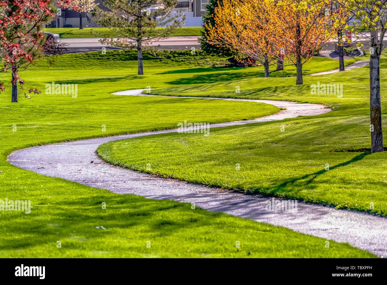 Sunny park pathway trees hi-res stock photography and images - Alamy