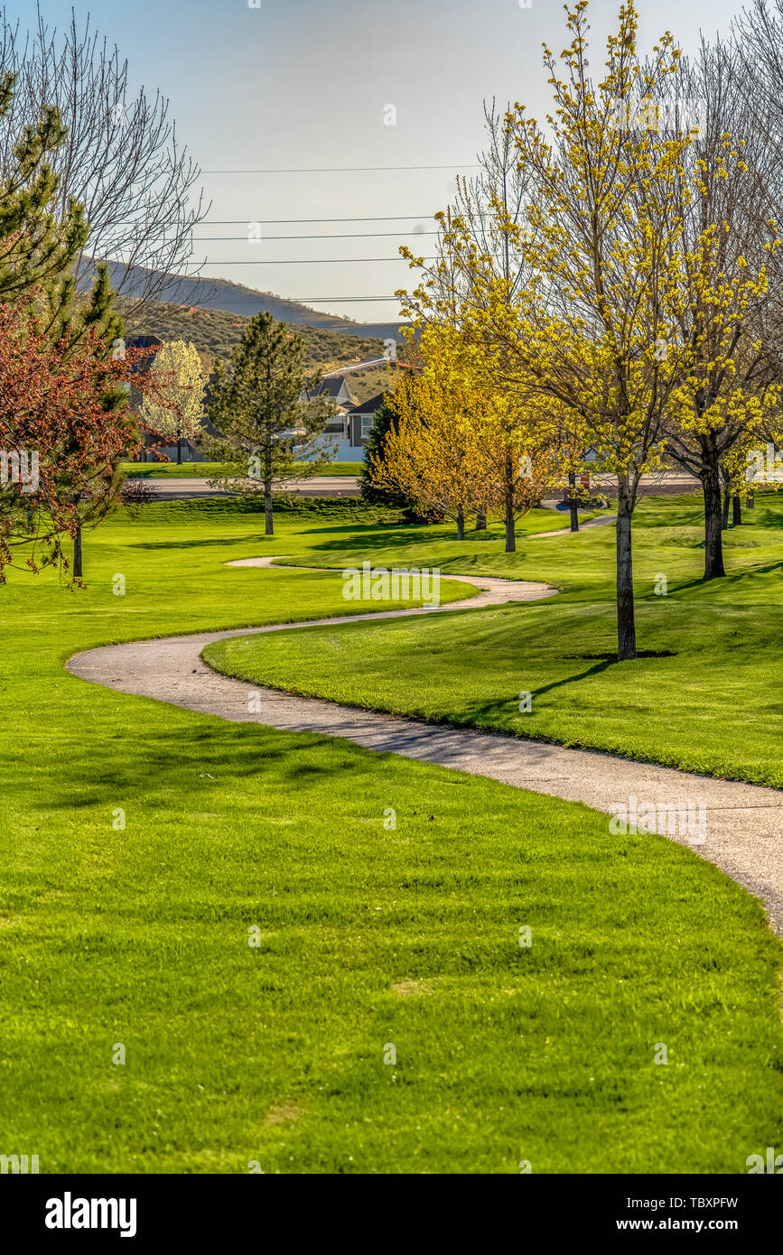 Pathway winding through a terrain with rich green grasses and young ...