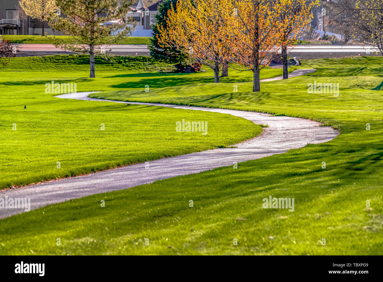 Curving grass pathway hi-res stock photography and images - Alamy