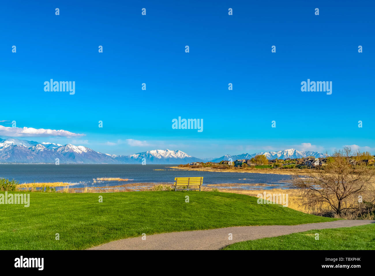 Grassy field with pathway and bench overlooking lake and mountain ...