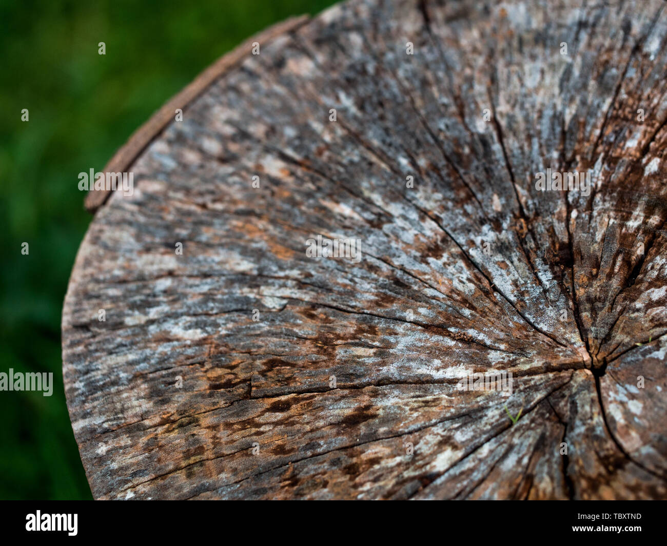 Radius hi-res stock photography and images - Alamy