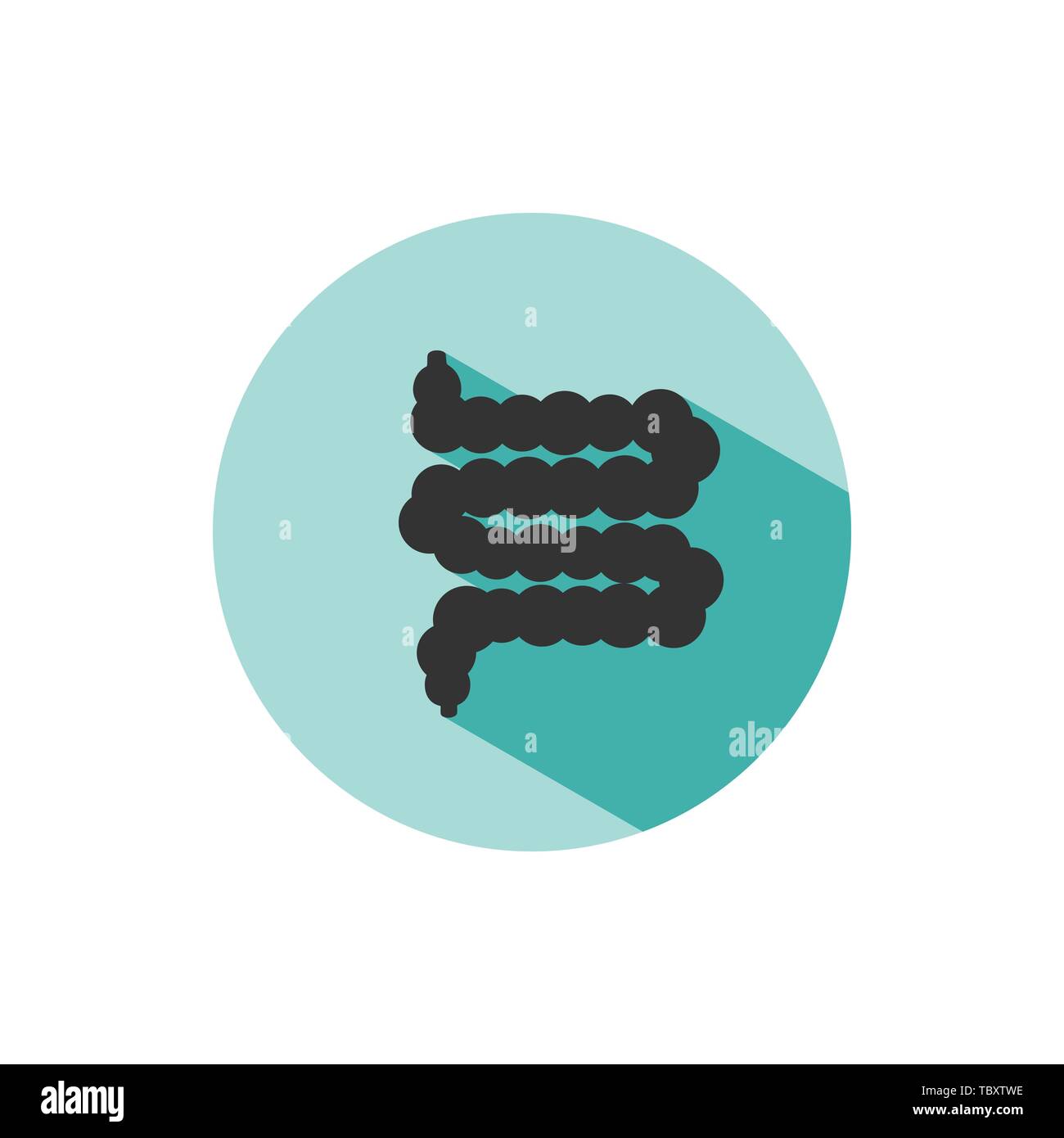 Large intestine icon hi-res stock photography and images - Alamy