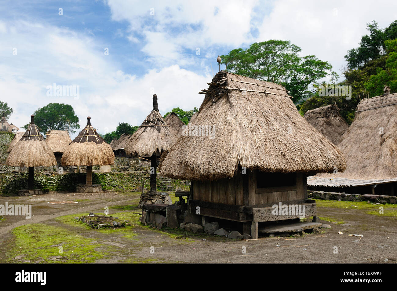 Traditional grass hut in the Bena minority village on the Flores island ...