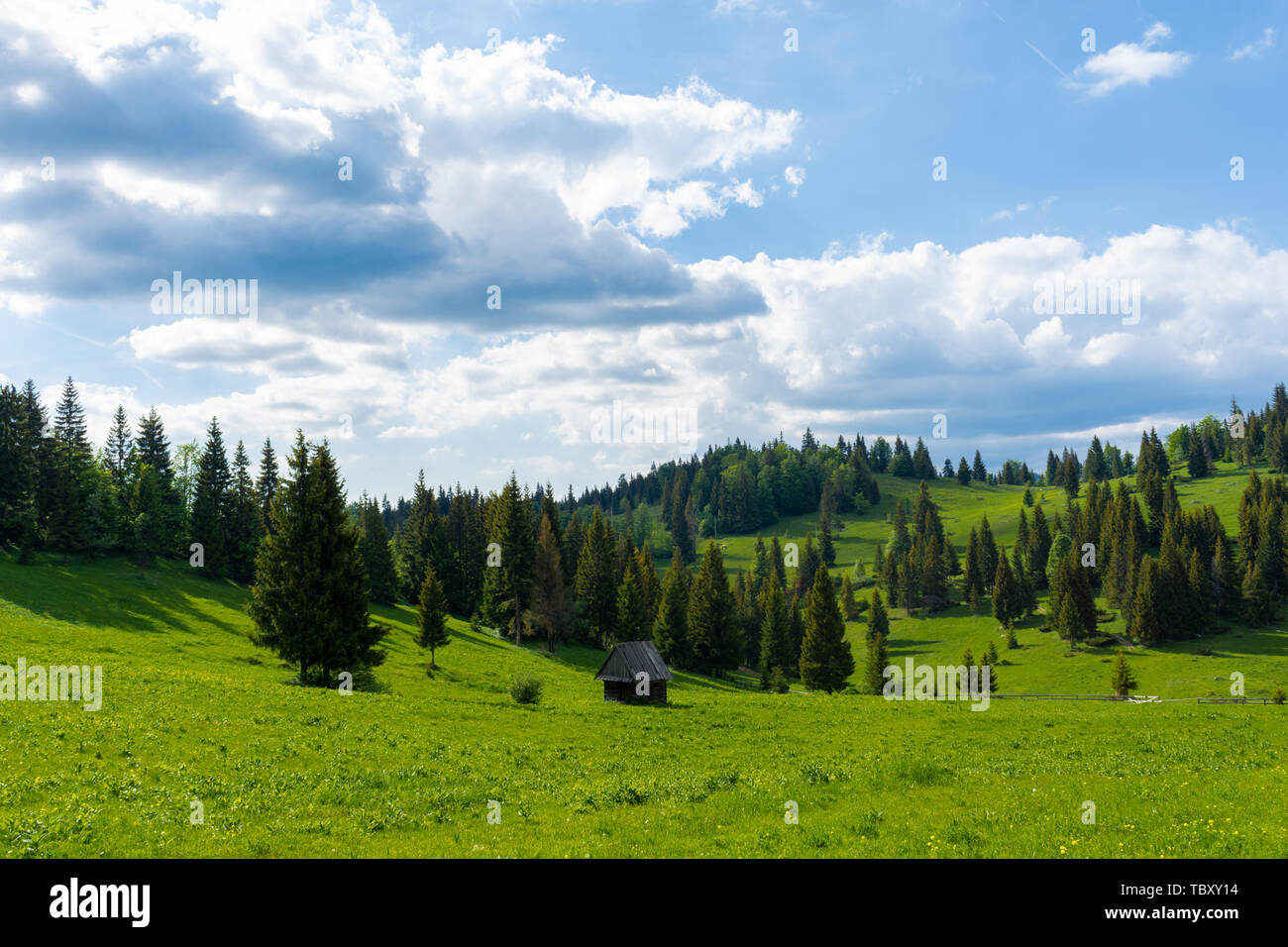 Single barn in the middle of a meadow on a medium clouded day Stock ...
