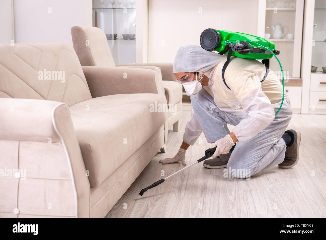 Pest control contractor working in the flat Stock Photo - Alamy