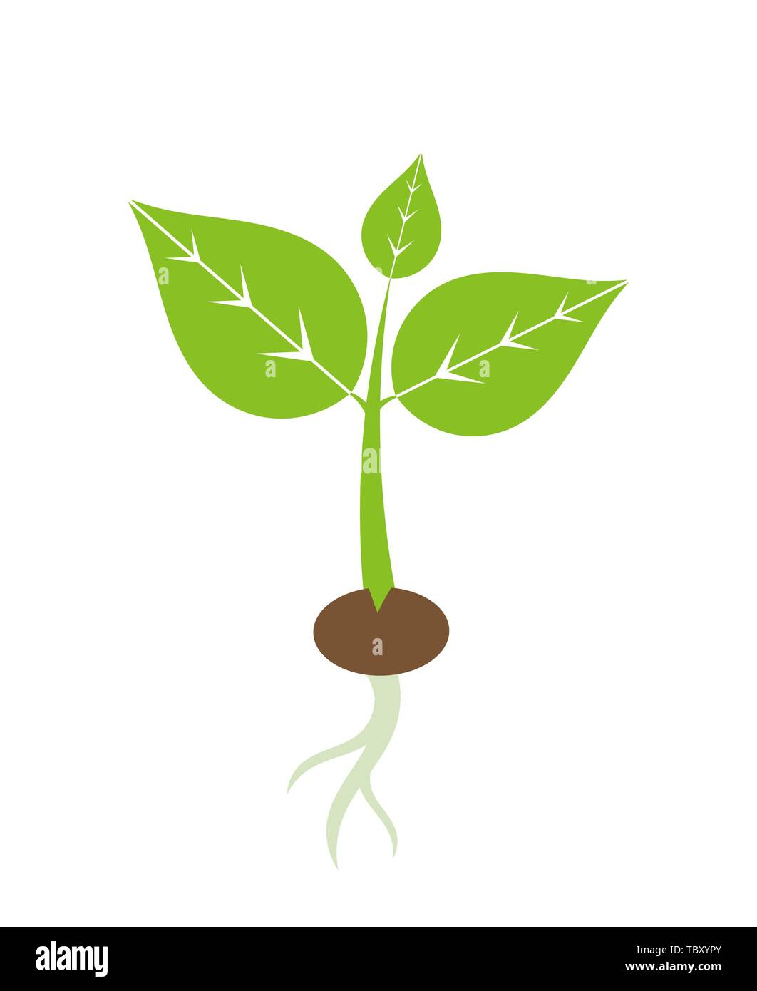 Spring plant seedling icon. Vector illustration Stock Vector Image ...