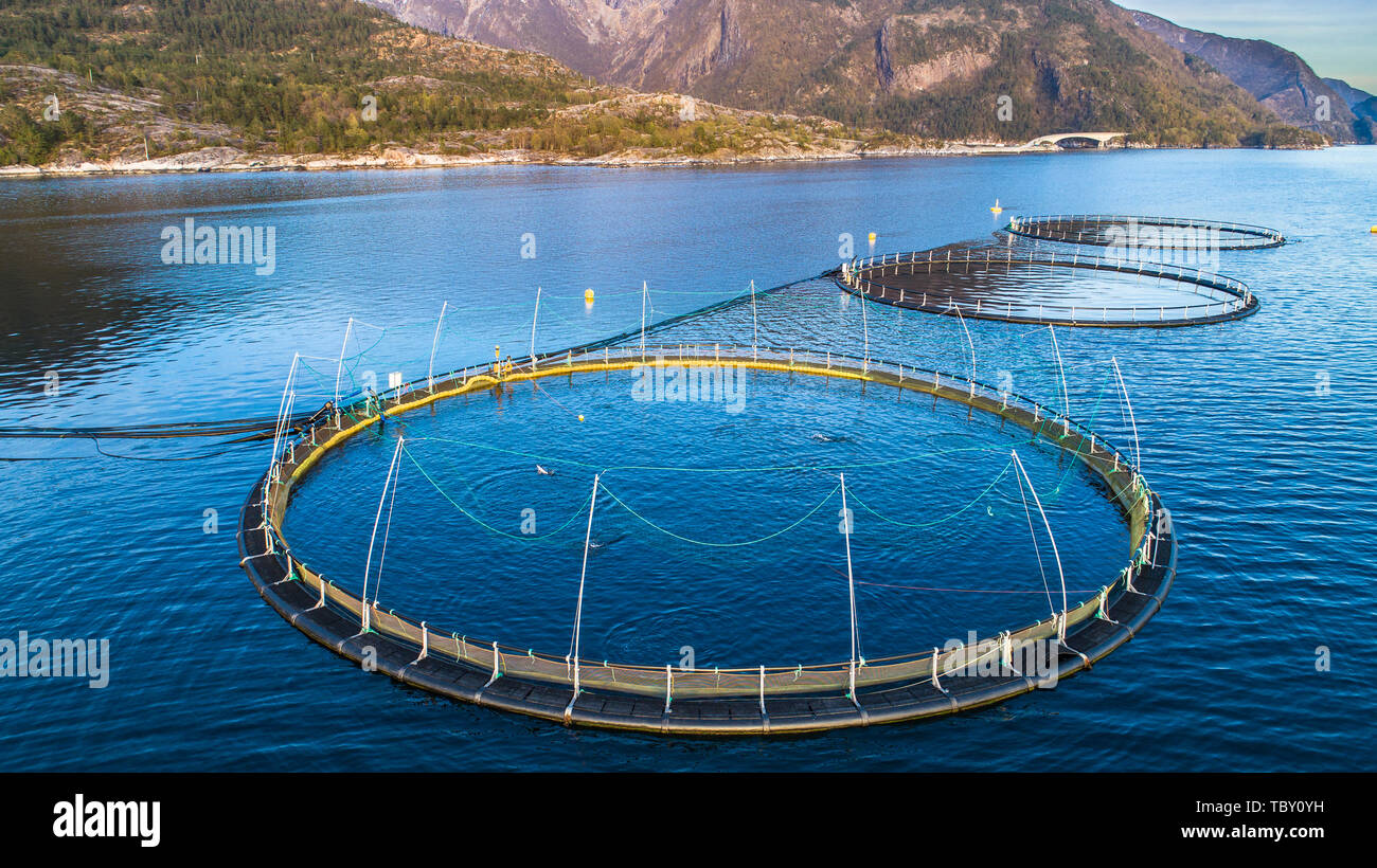 Salmon fish farm. Hordaland, Norway Stock Photo - Alamy