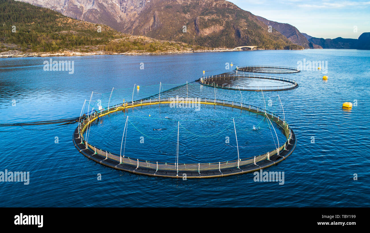 Salmon fish farm. Hordaland, Norway Stock Photo - Alamy
