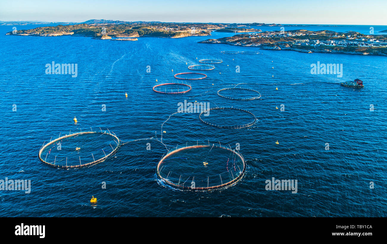 Salmon fish farm. Hordaland, Norway Stock Photo - Alamy