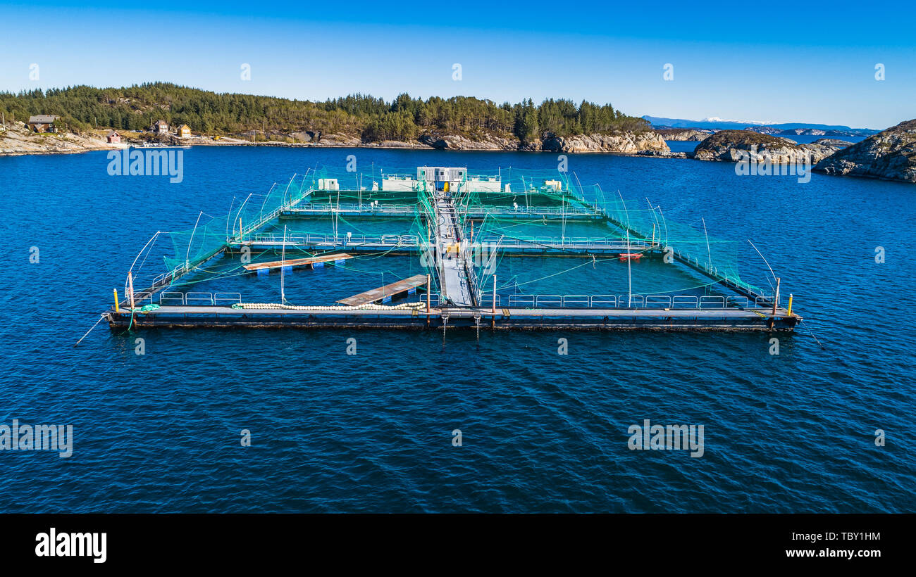 Salmon fish farm hordaland hi-res stock photography and images - Alamy