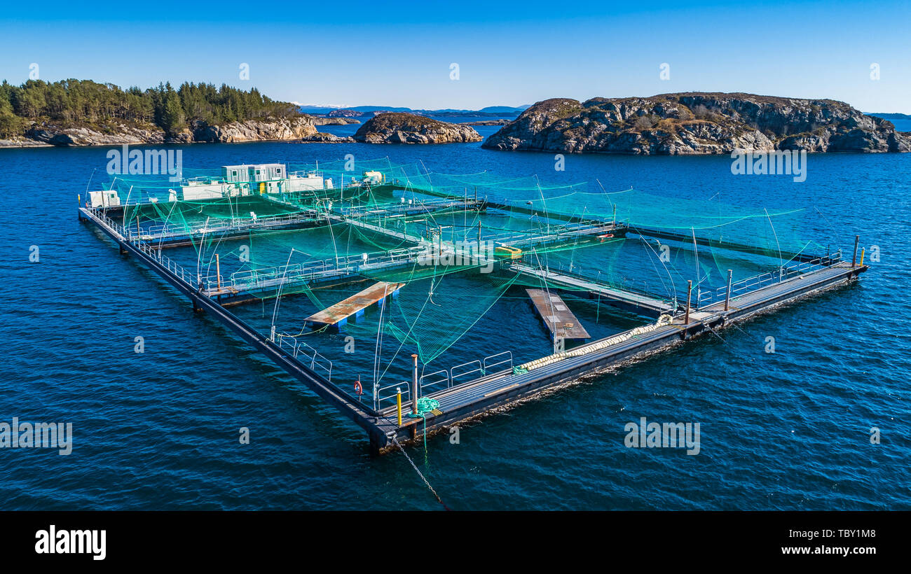 Salmon fish farm. Hordaland, Norway Stock Photo - Alamy