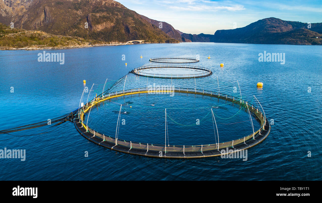 Salmon fish farm. Hordaland, Norway Stock Photo - Alamy