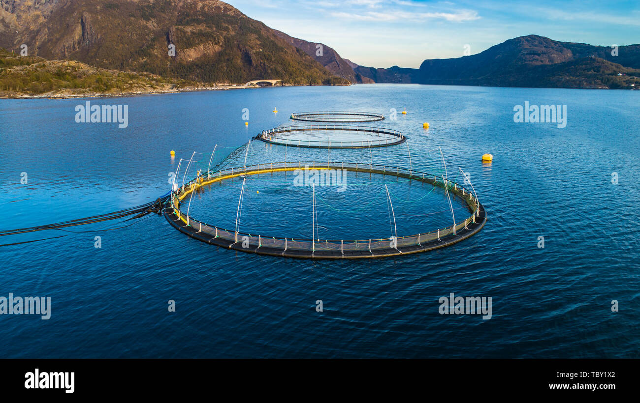 Salmon fish farm. Hordaland, Norway Stock Photo - Alamy