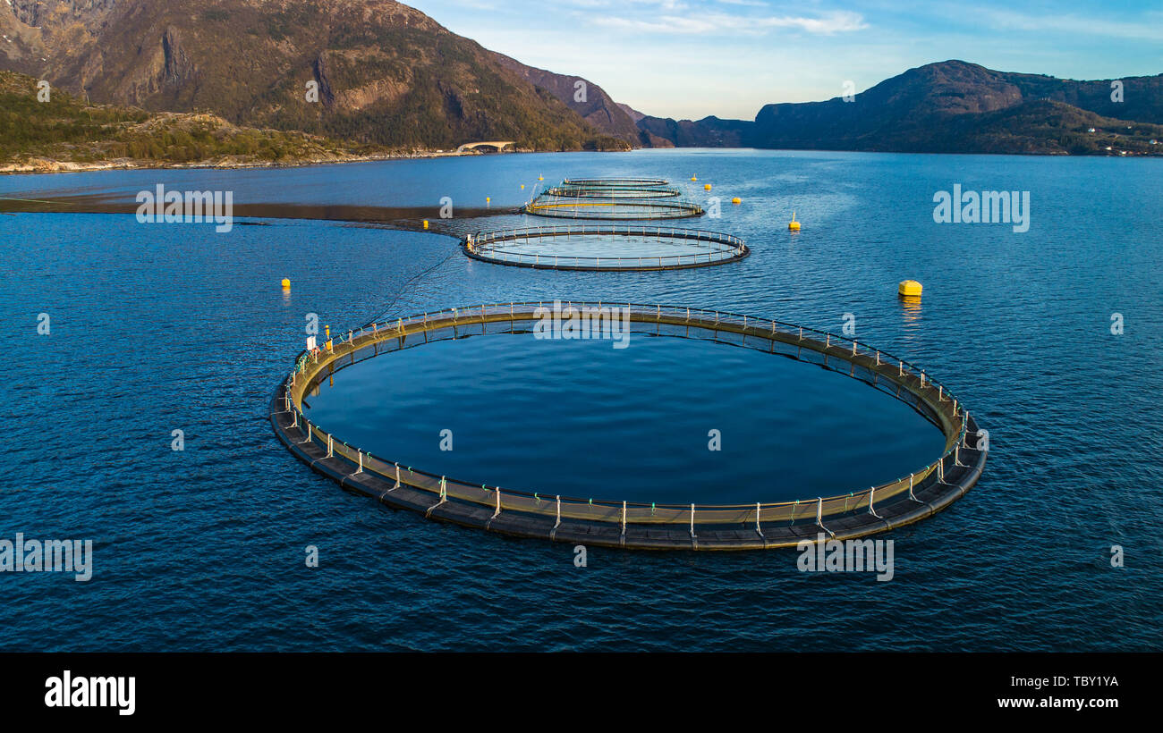 Salmon fish farm. Hordaland, Norway Stock Photo - Alamy