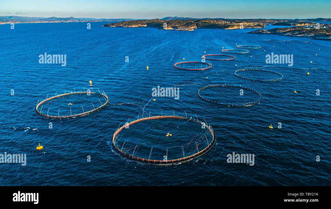 Salmon fish farm. Hordaland, Norway Stock Photo - Alamy