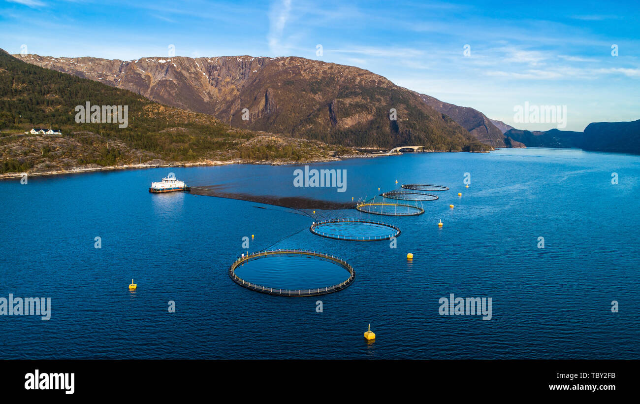 Salmon fish farm. Hordaland, Norway Stock Photo - Alamy