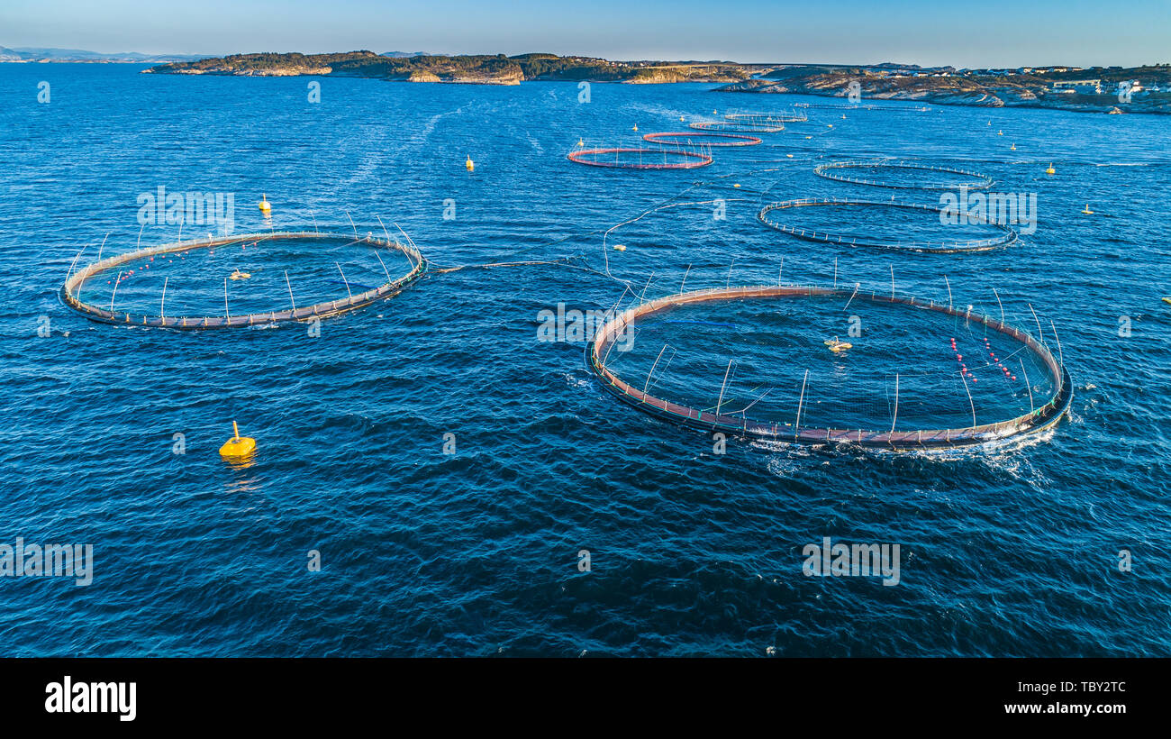 Salmon fish farm. Hordaland, Norway Stock Photo - Alamy