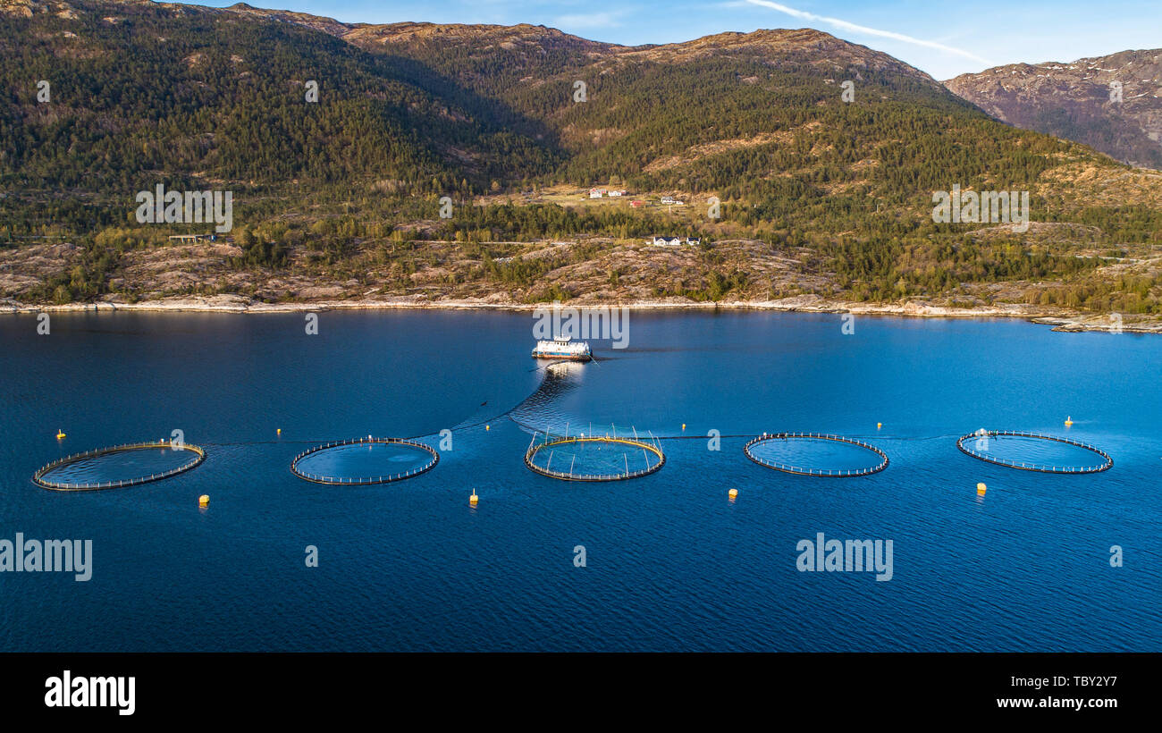 Salmon fish farm. Hordaland, Norway Stock Photo - Alamy