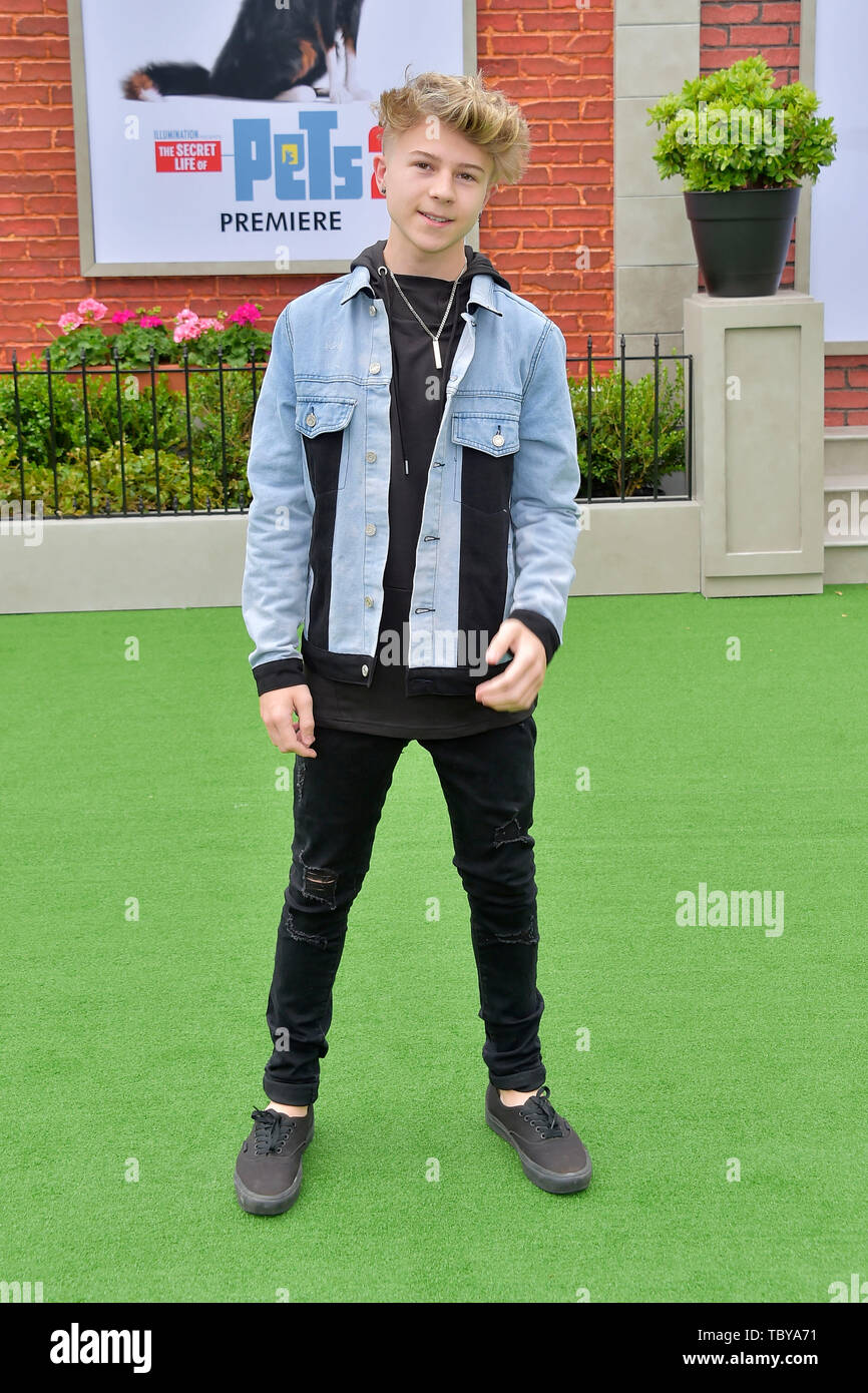 Dylan Hartman at the premiere of the movie 'The Secret Life of Pets 2 ...