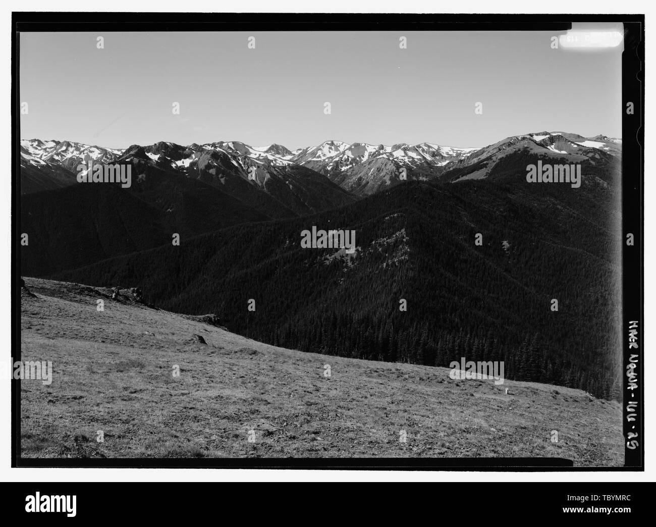 John muir historian hi-res stock photography and images - Alamy