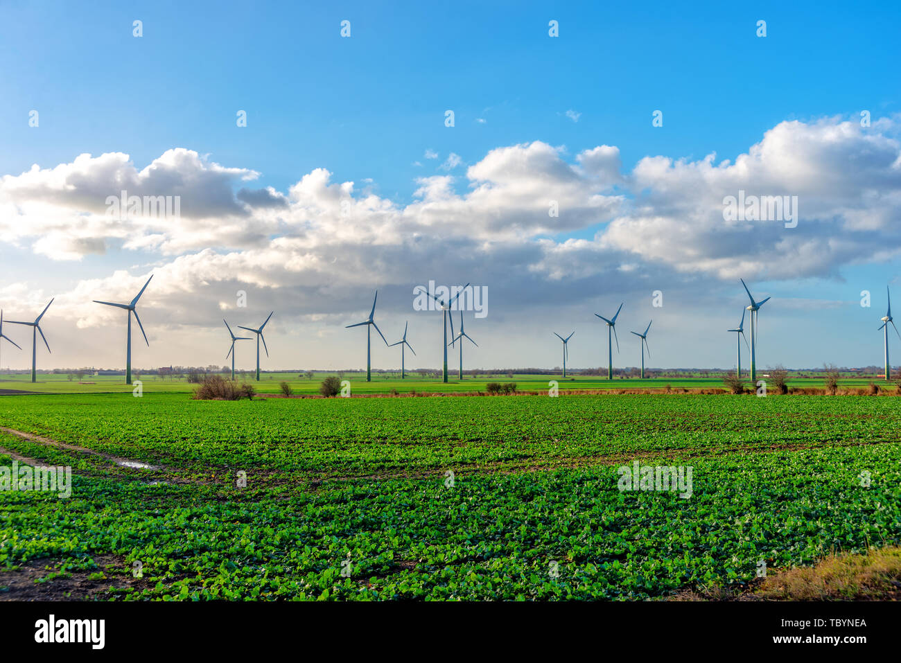 Wind turbines on the coast Stock Photo - Alamy