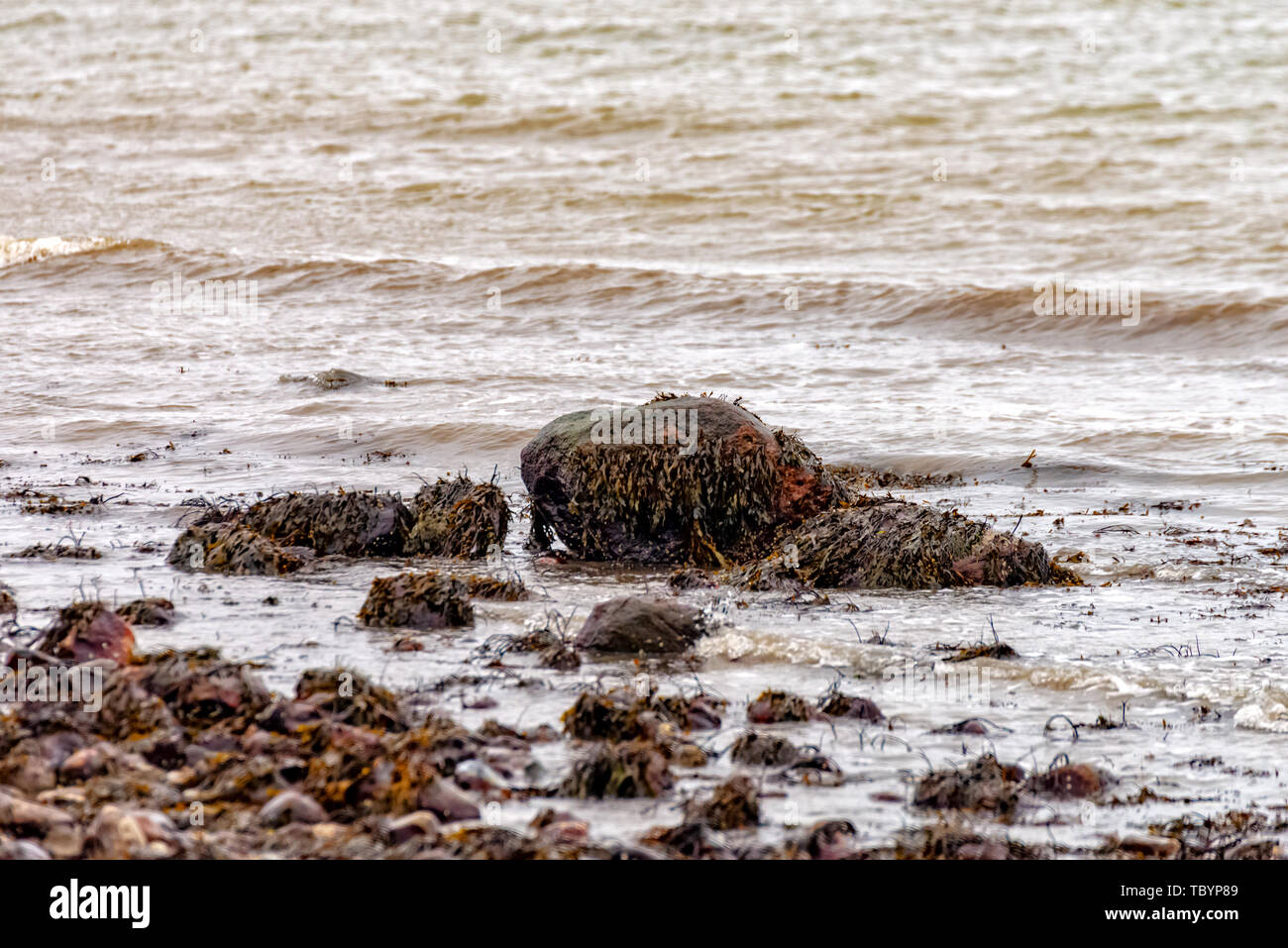 Fehmarn beach in winter Stock Photo - Alamy