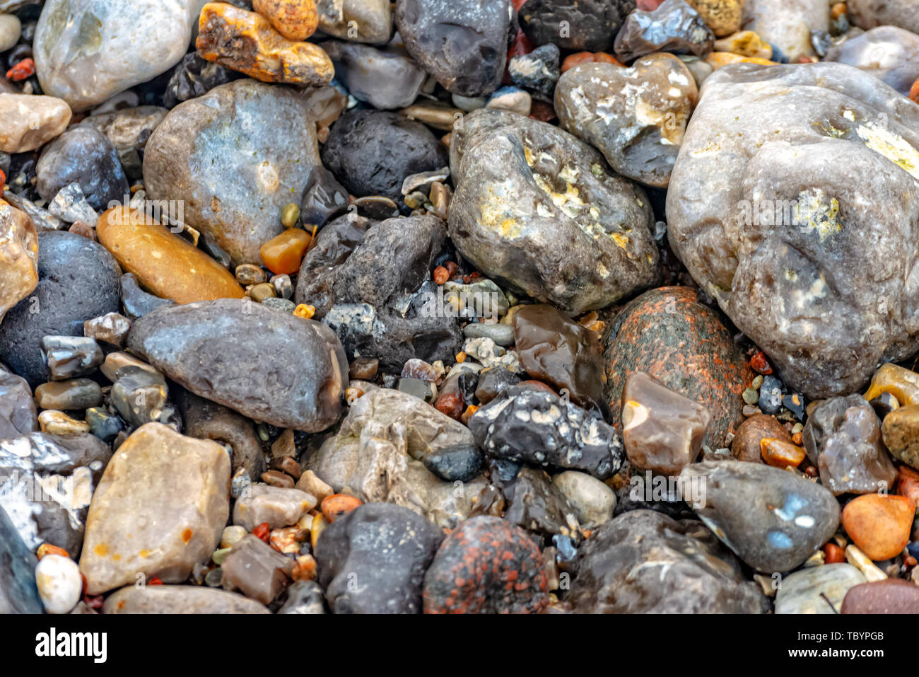 Various stones on the beach Stock Photo - Alamy