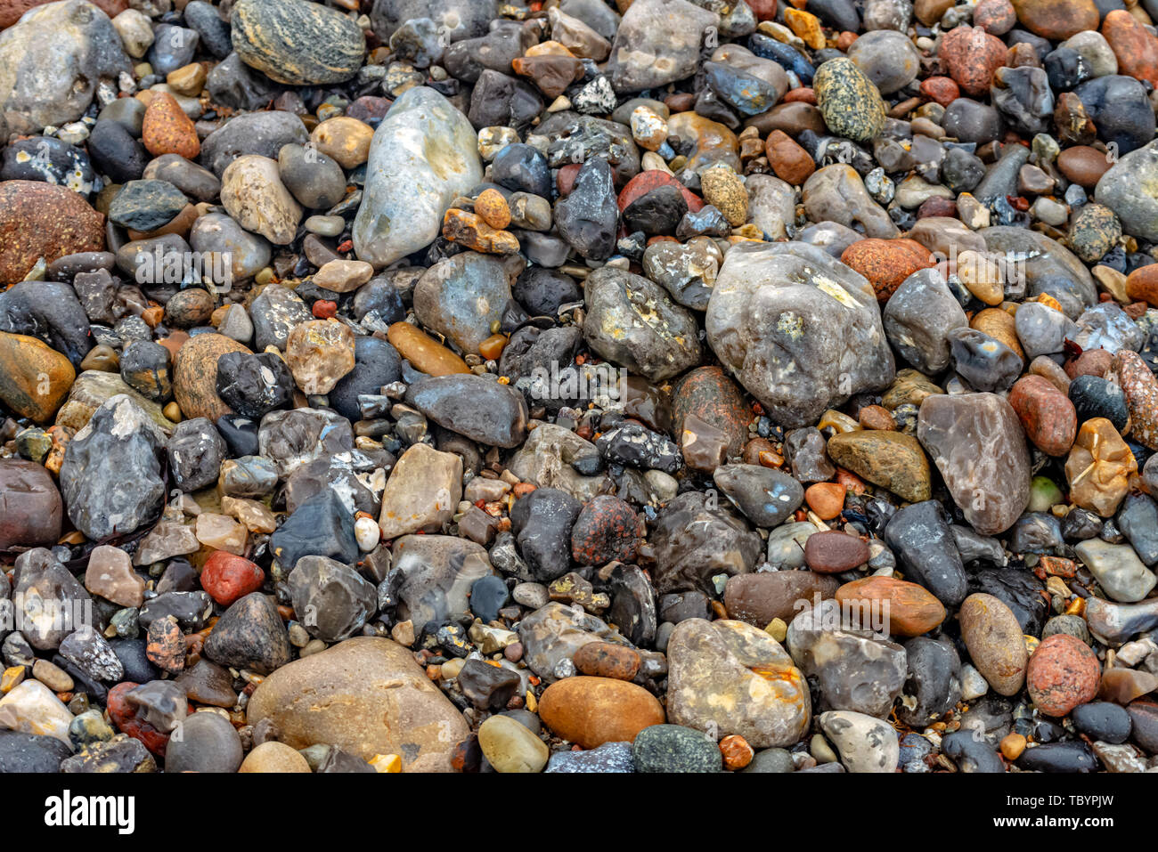 Various stones on the beach Stock Photo - Alamy