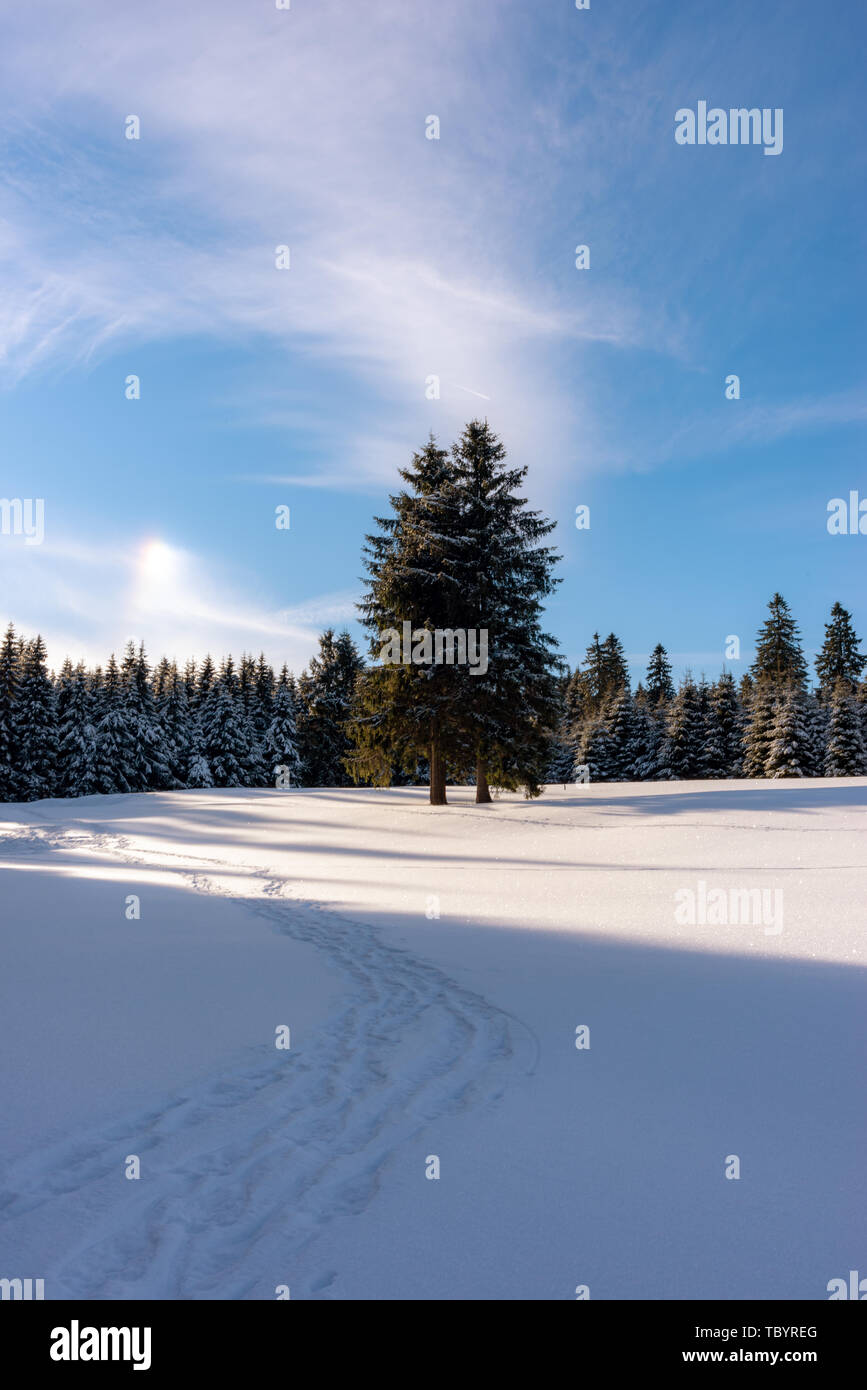 Oberhof thuringia germany hi-res stock photography and images - Alamy