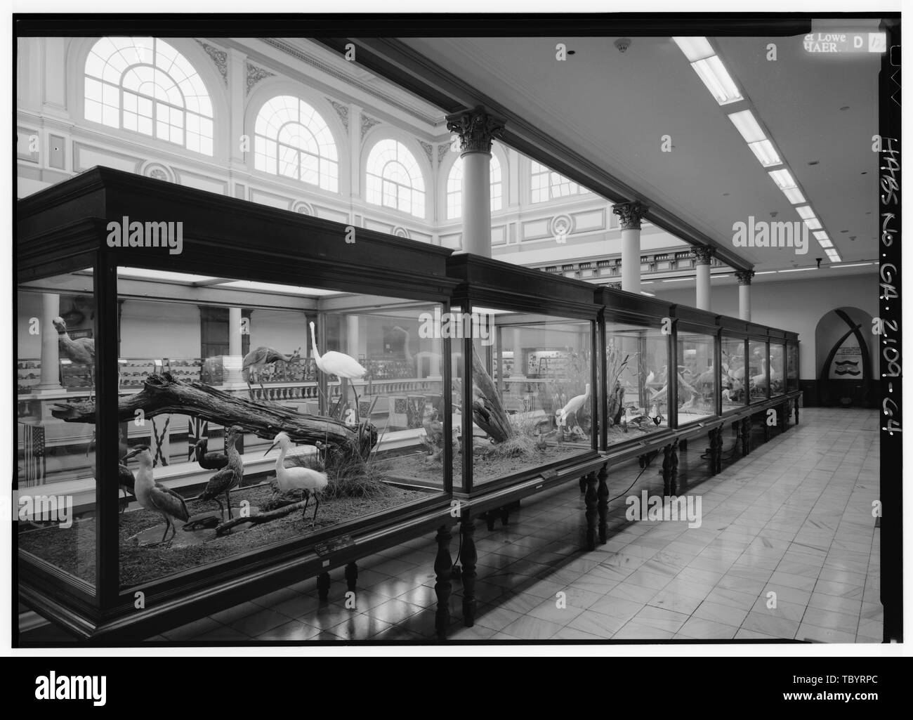 Interior view atrium design museum Black and White Stock Photos ...
