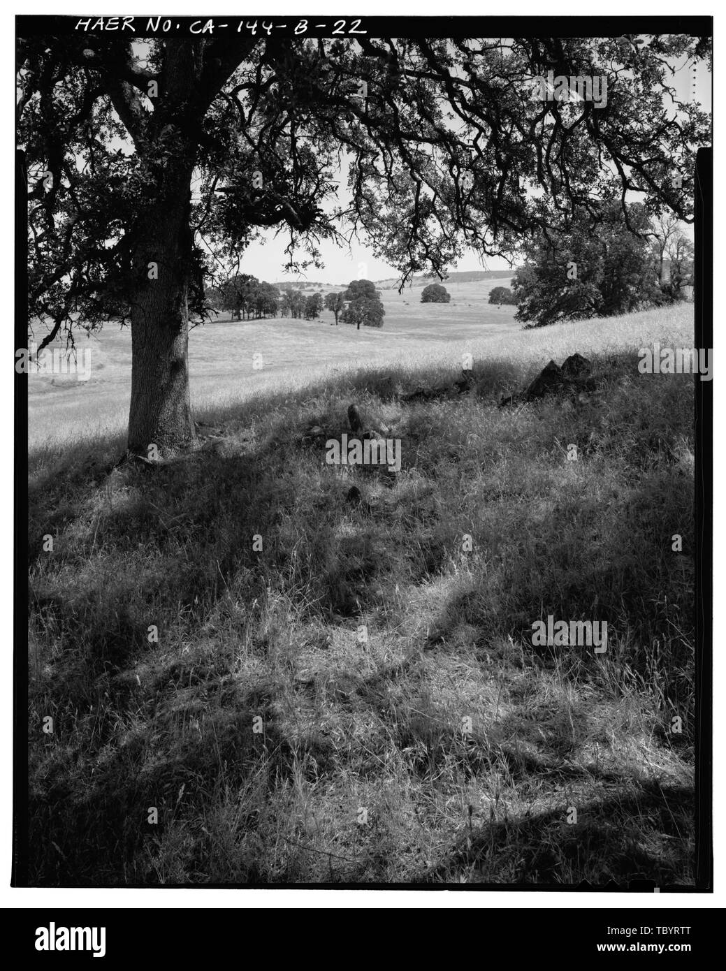 Ditch lies hi-res stock photography and images - Alamy