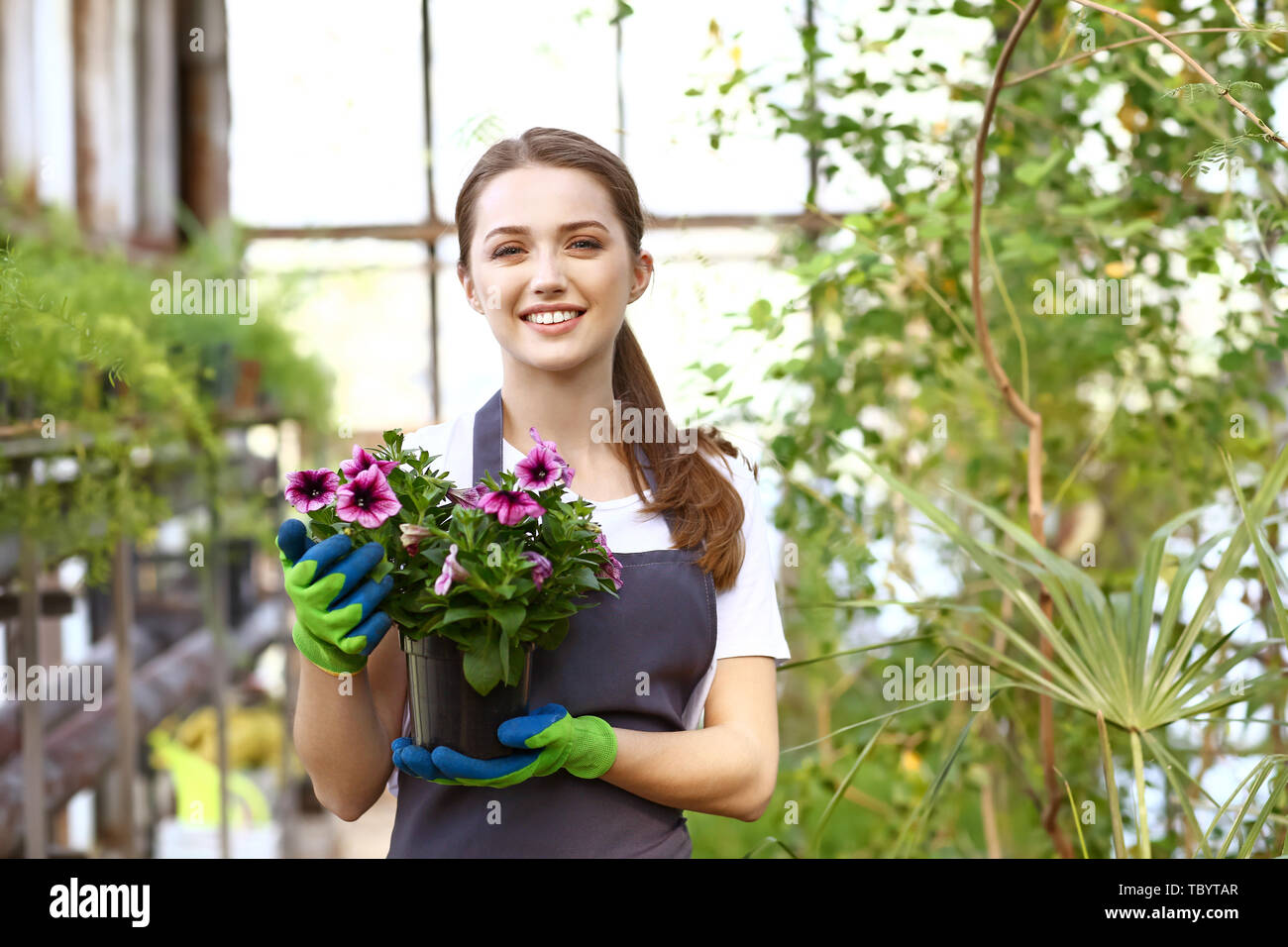 Beautiful female gardener in greenhouse Stock Photo - Alamy