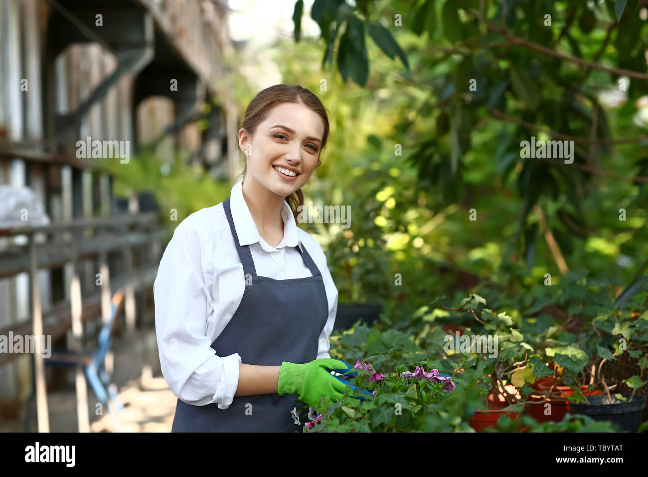Beautiful female gardener in greenhouse Stock Photo - Alamy