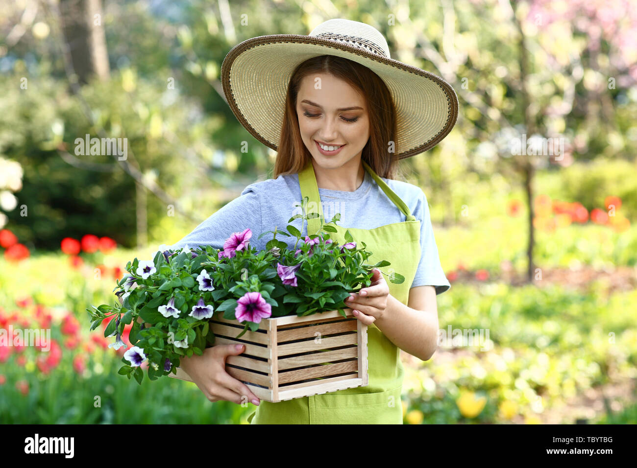 Beautiful female gardener with flowers in box outdoors Stock Photo - Alamy
