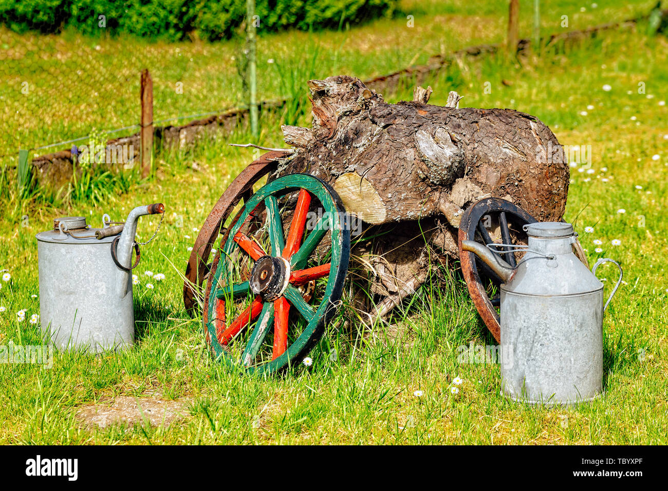 Tree trunk, wooden wheel and watering can in the garden on the meadow ...