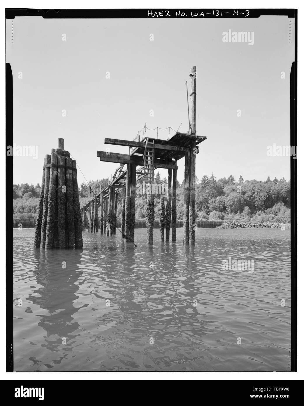 Creosote piling hi-res stock photography and images - Alamy