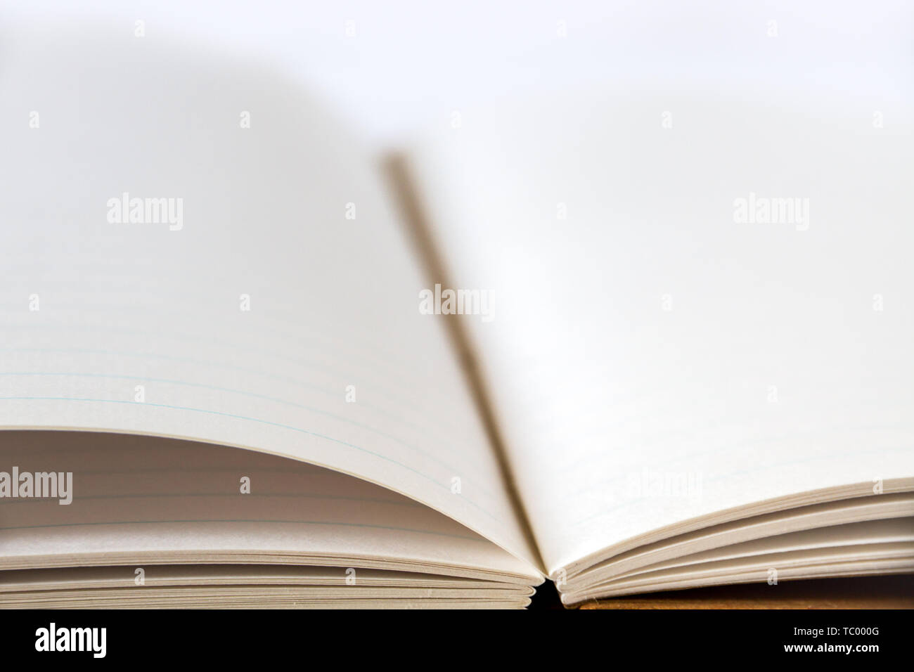Open blank notebook mockup closeup view Stock Photo - Alamy