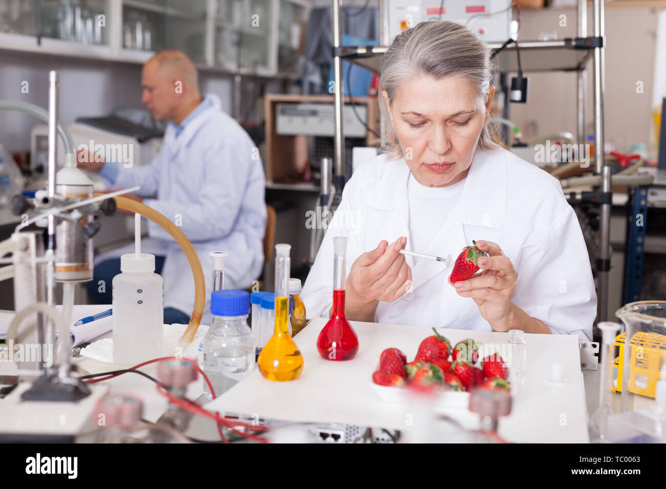 Experienced woman biochemist performing GMO experiments in modern ...