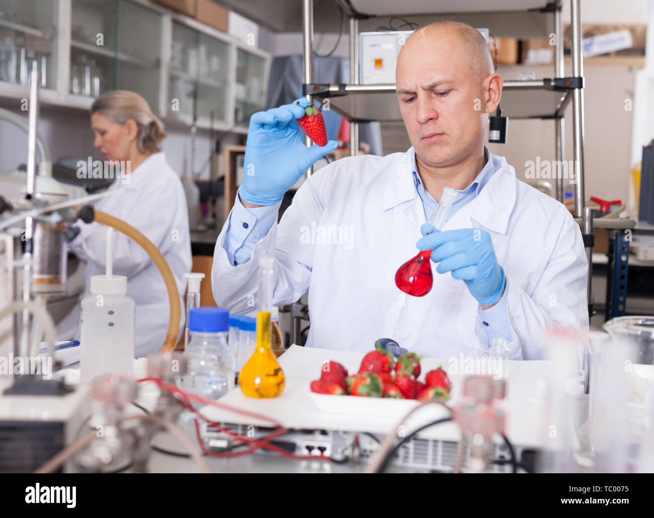 Professional geneticist working in laboratory, conducting experiments ...