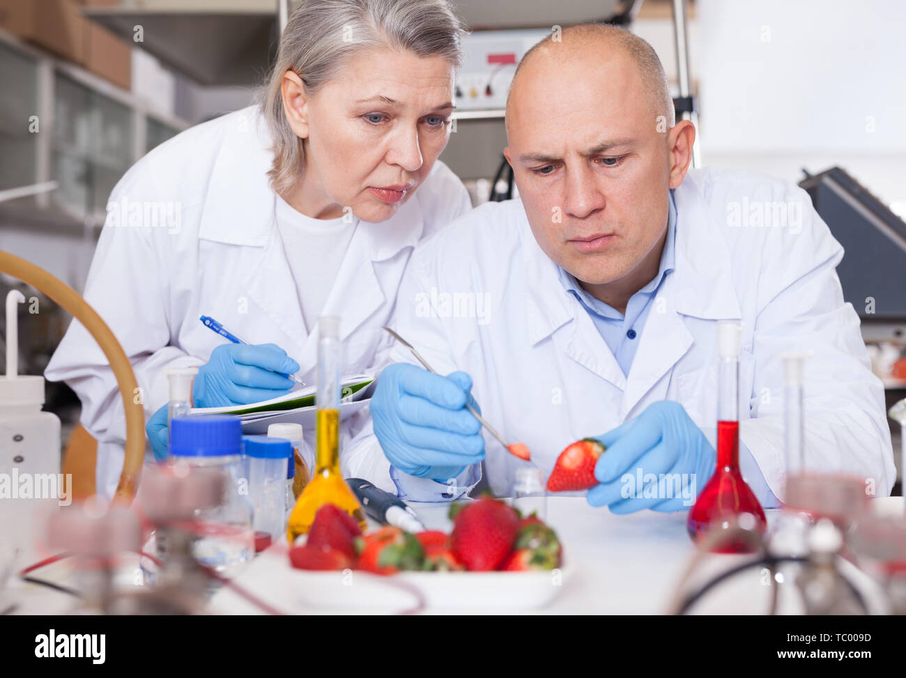 Two professional genetic scientists working in laboratory, taking notes ...
