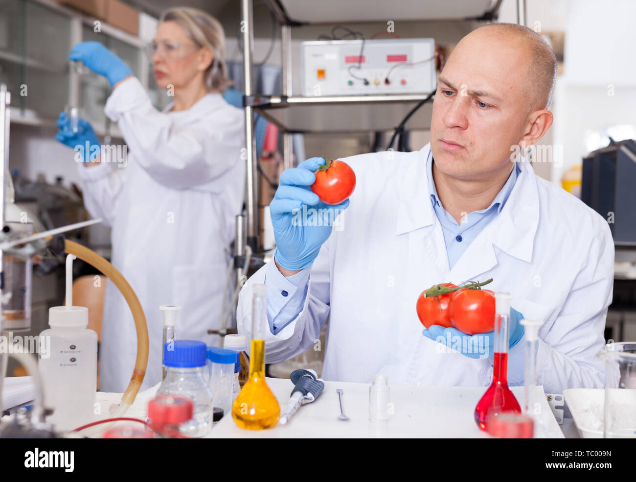 Professional geneticist working in laboratory, conducting experiments ...