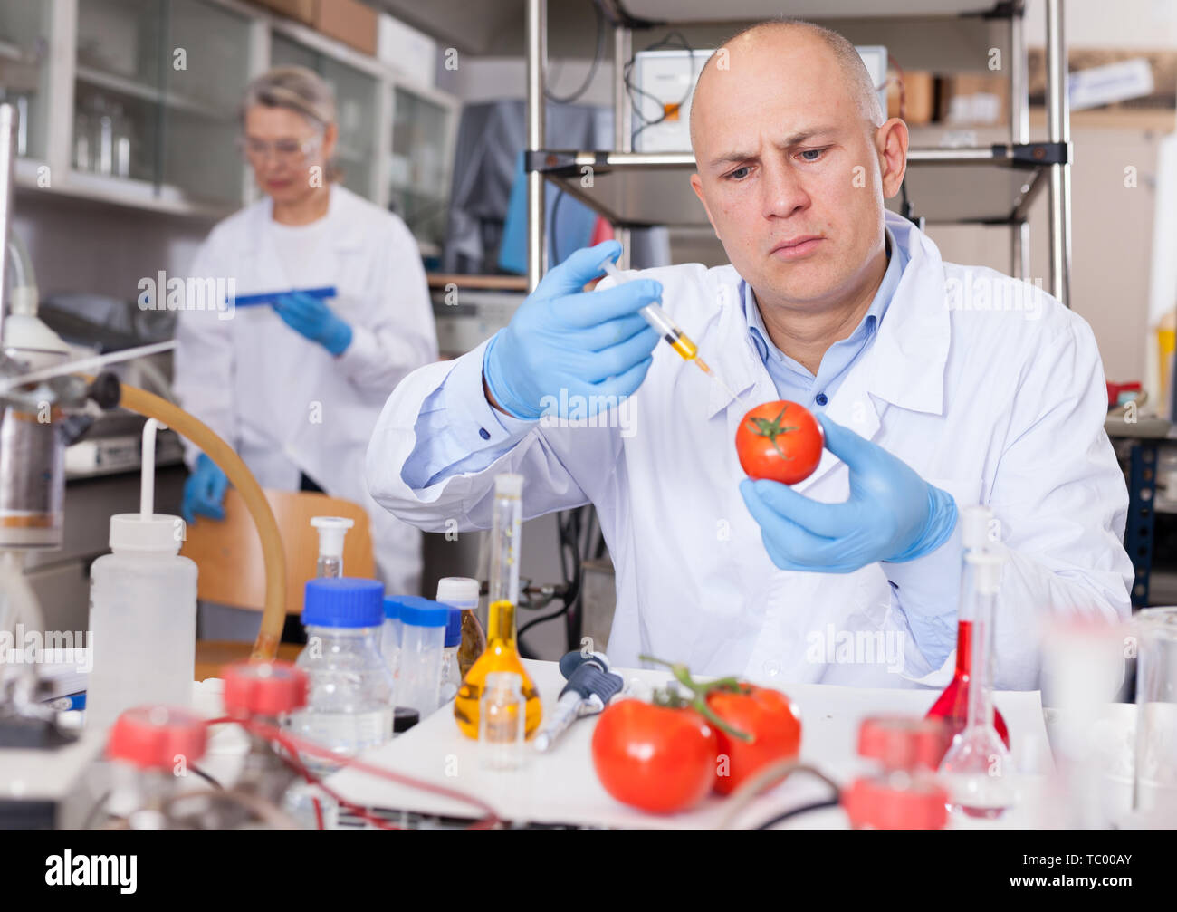 Experienced biochemist performing GMO experiments in modern laboratory ...