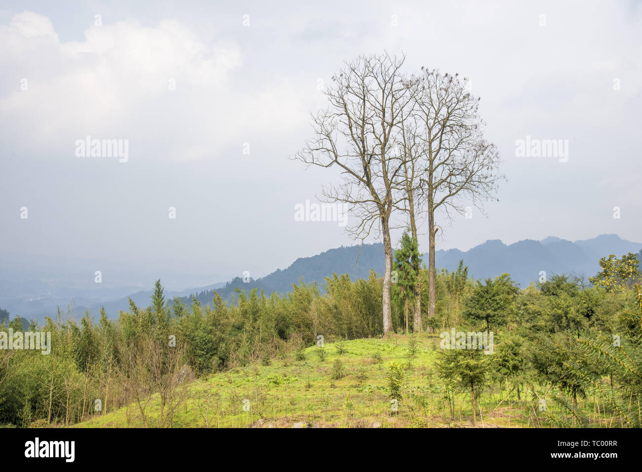Scenery of Bashu mountains and rivers in Dazhu County, Sichuan Stock ...