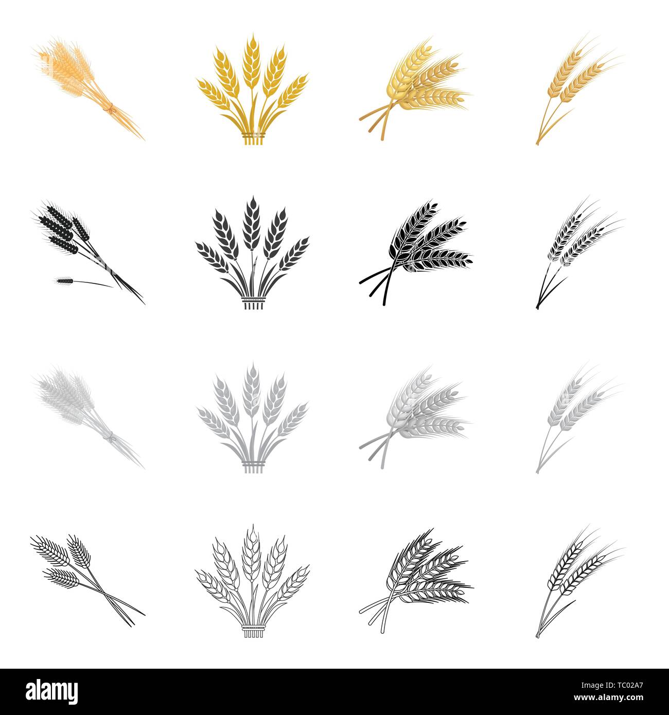 Vector design of wheat and stalk icon. Set of wheat and grain stock ...