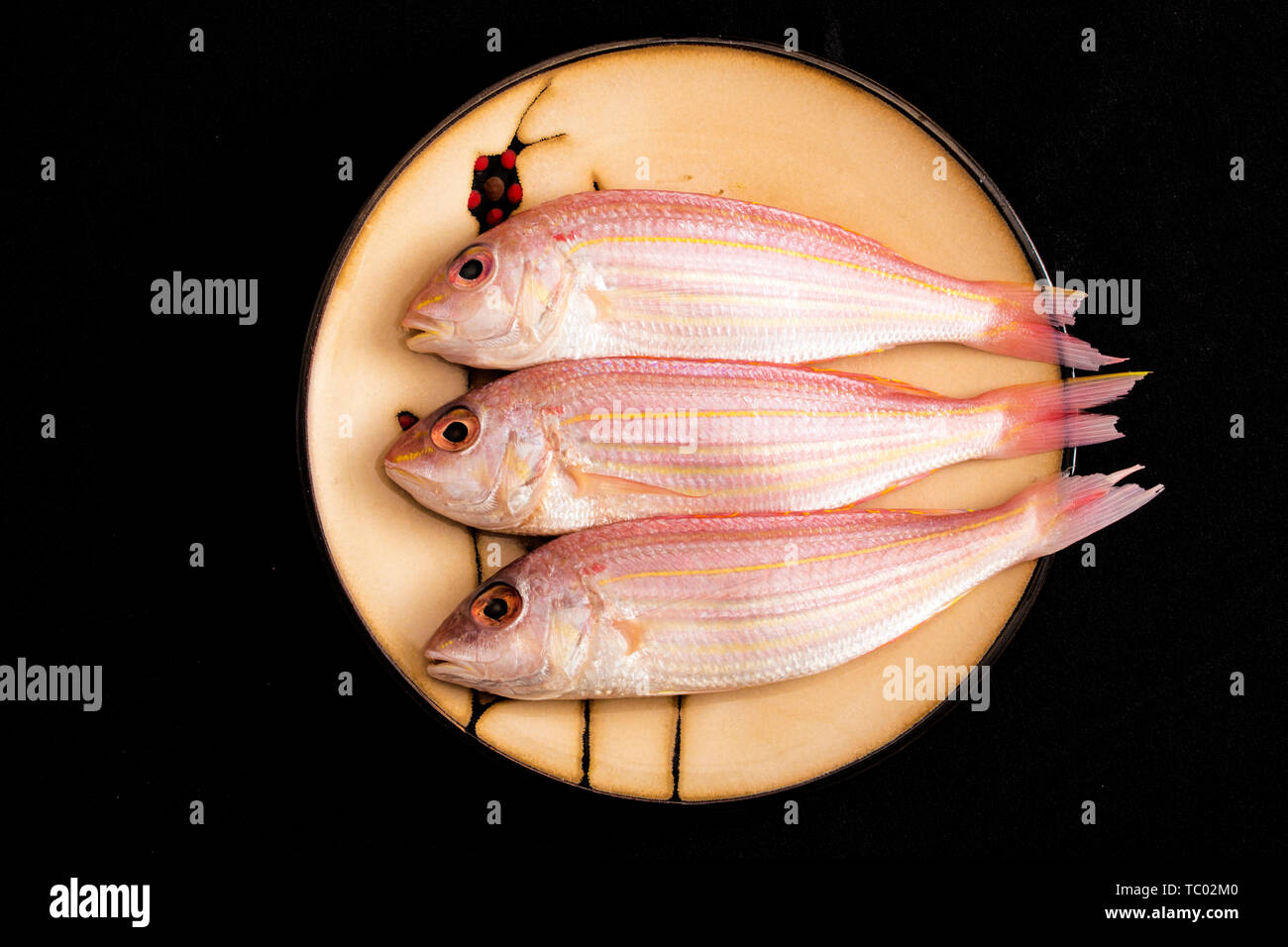 Chilled seafood redshirt fish Stock Photo - Alamy