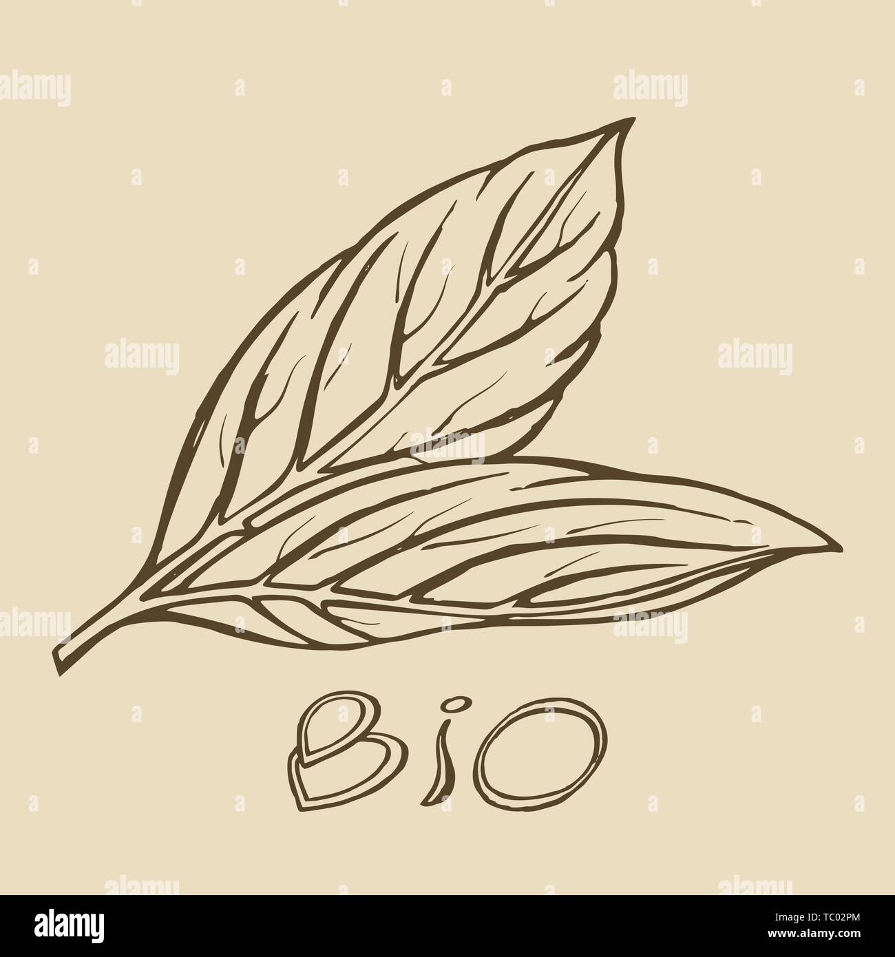Bio leaf logo sketch Stock Vector Image & Art - Alamy