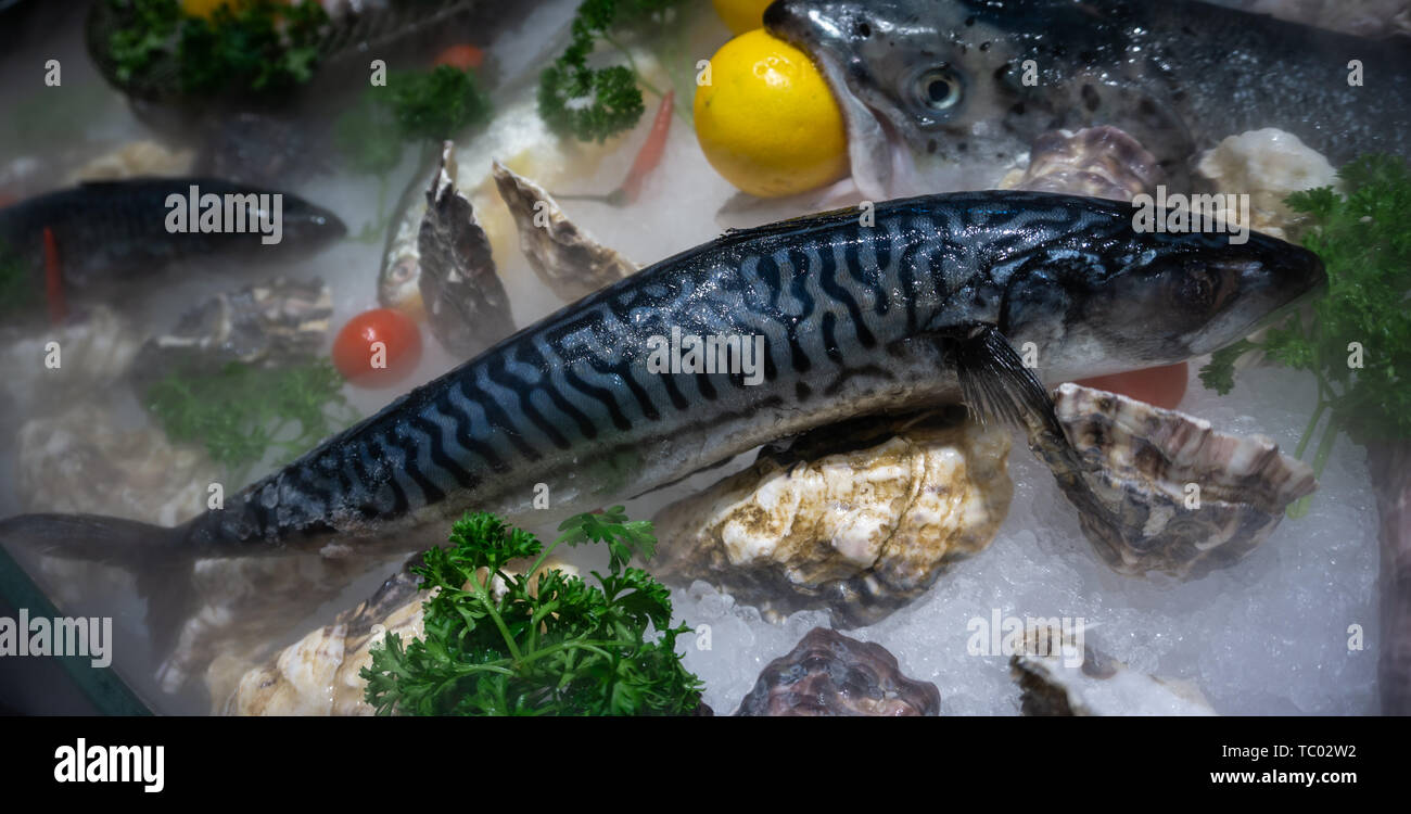 Green fish seafood Stock Photo - Alamy