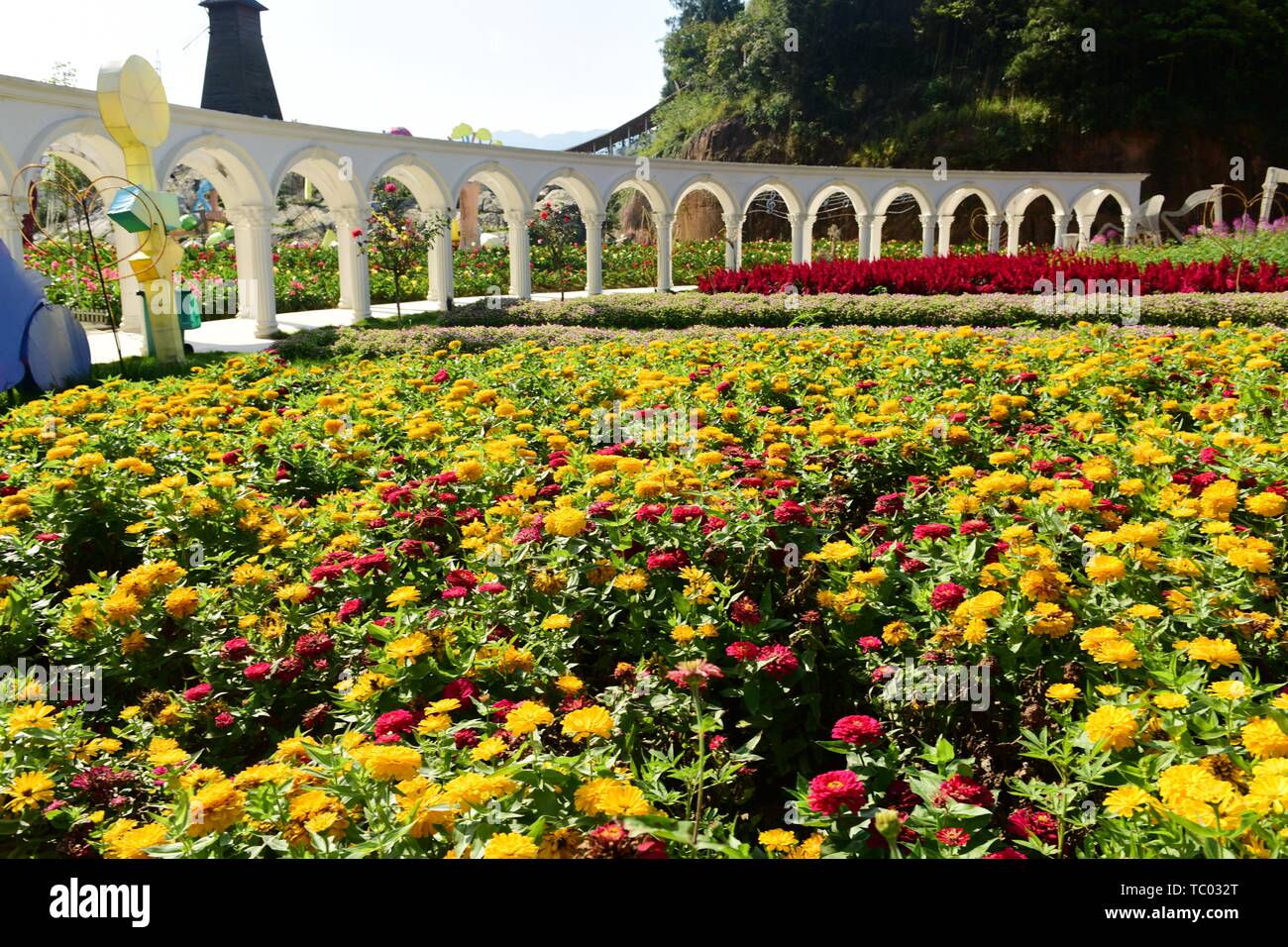 Flower Sea Promenade Stock Photo - Alamy